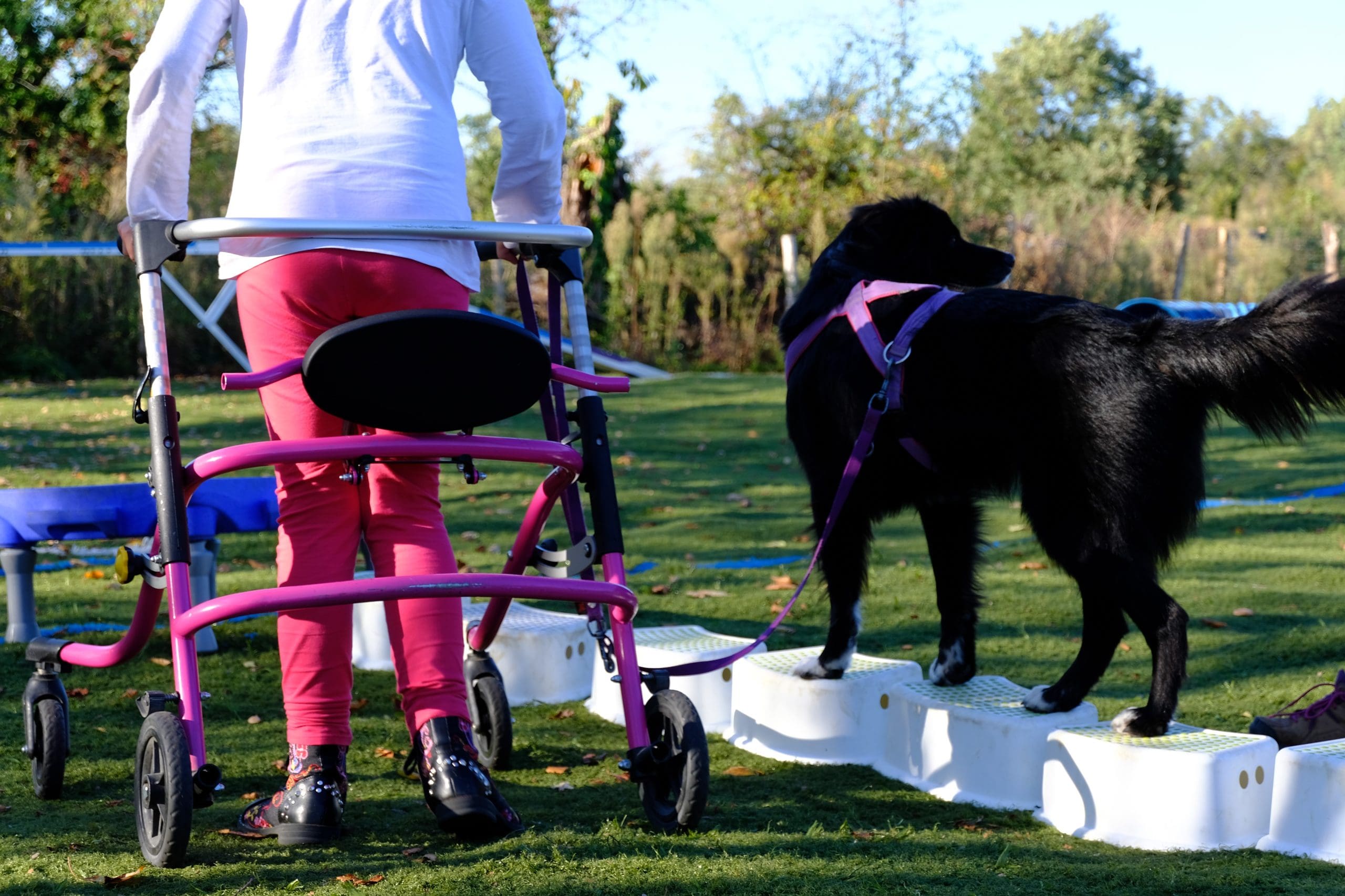 Les chiens d'aide à la personne - Enfant différent